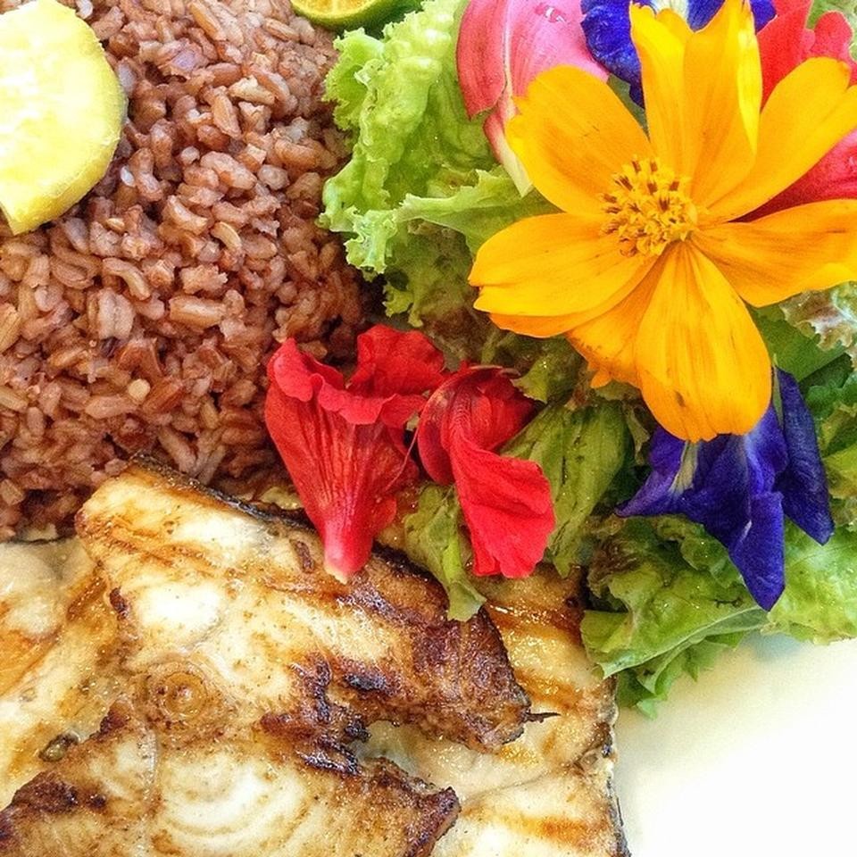 Restaurants & Food Delivery – Bohol Local